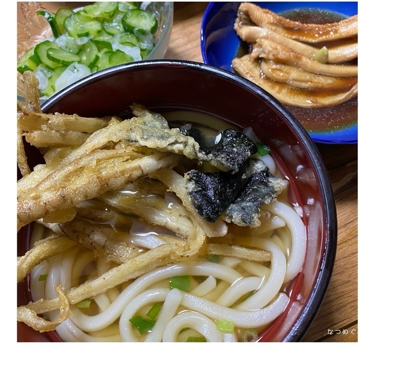 おやすみなさい: てくてくぼちぼち2