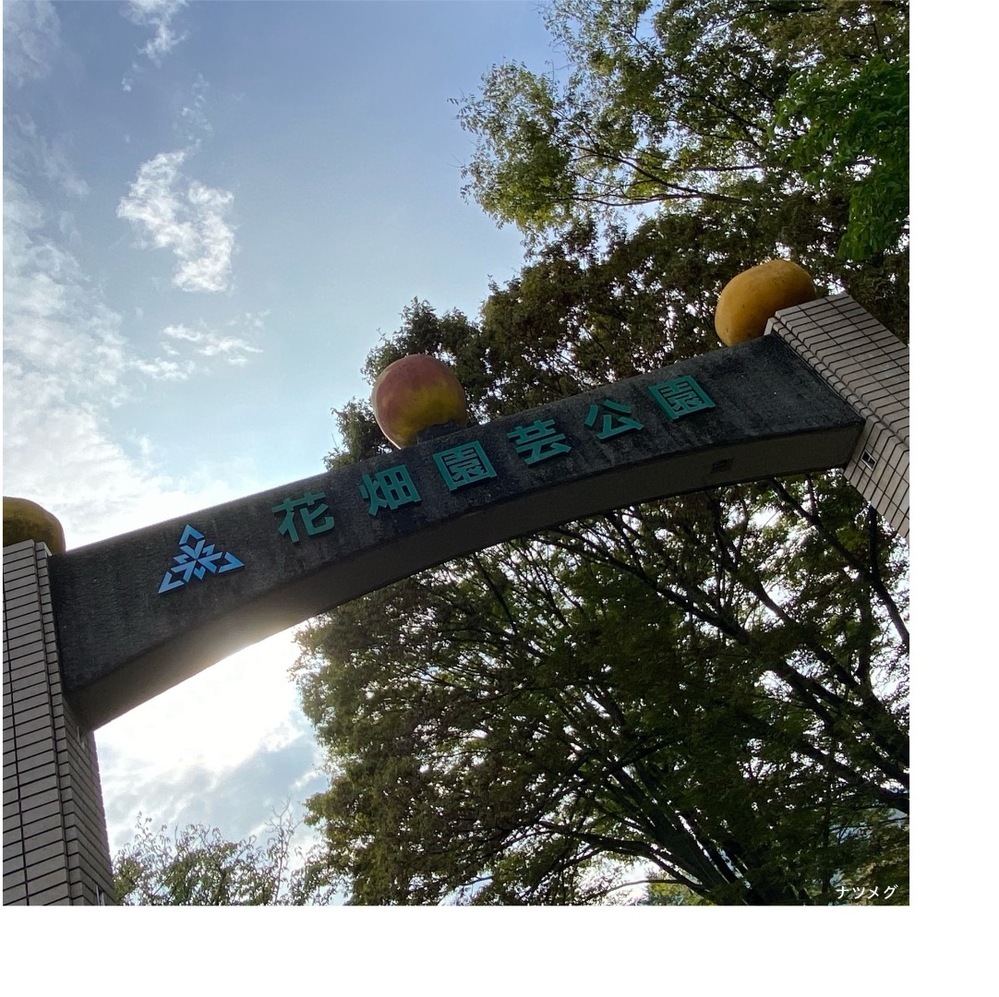 秋桜に会いに。: てくてくぼちぼち2